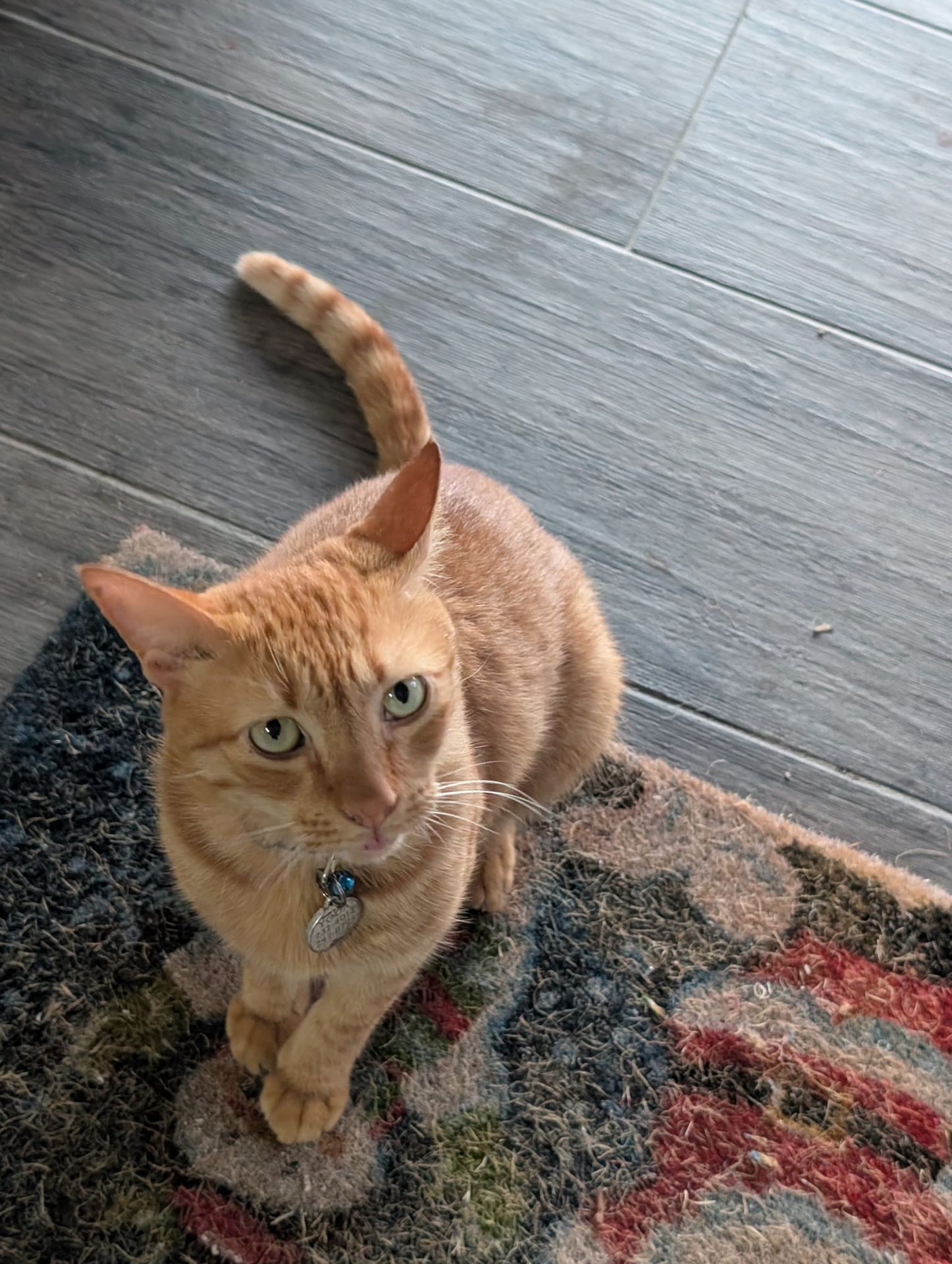 Contact Us | Reader's Critter Corner Ltd.